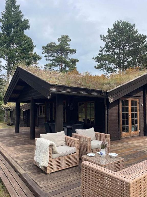 Norwegian Log Cabin Among Heather And Pine Trees, Rørvig (updated ...