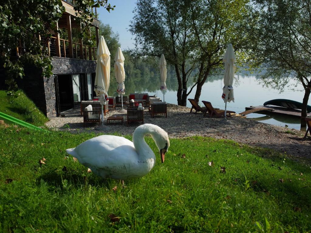 Zagreb Camp Bungalows, Rakitje (updated prices 2025)