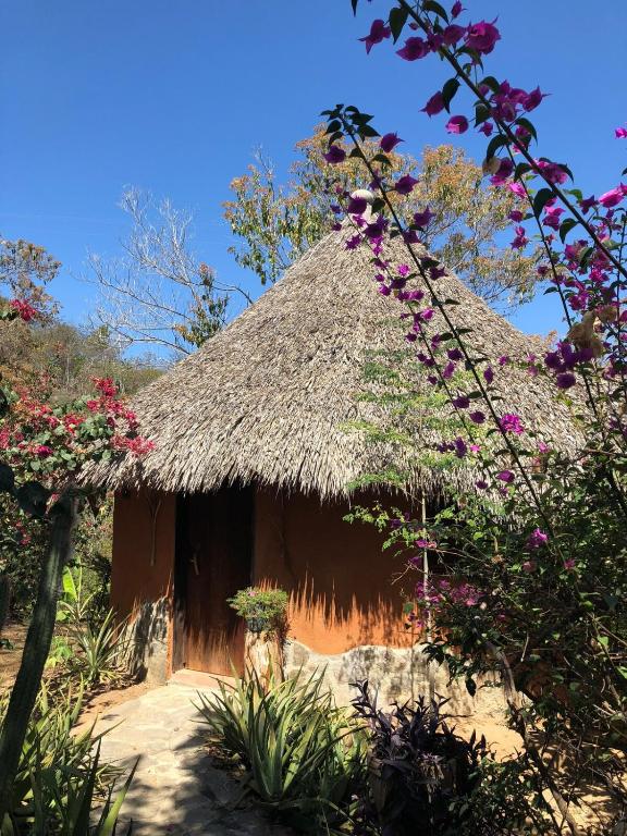 Flor de Arena, Arroyo Cruz (prisene oppdatert 2025)