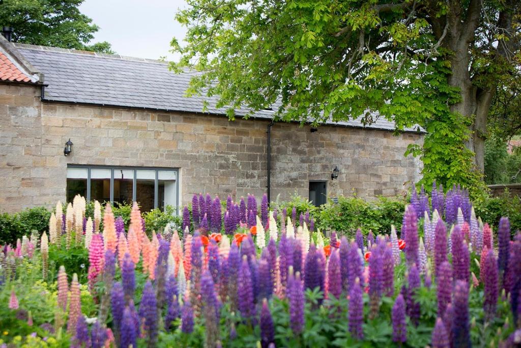 Chestnut Barn Cottage Whitby, Aislaby (updated prices 2026)