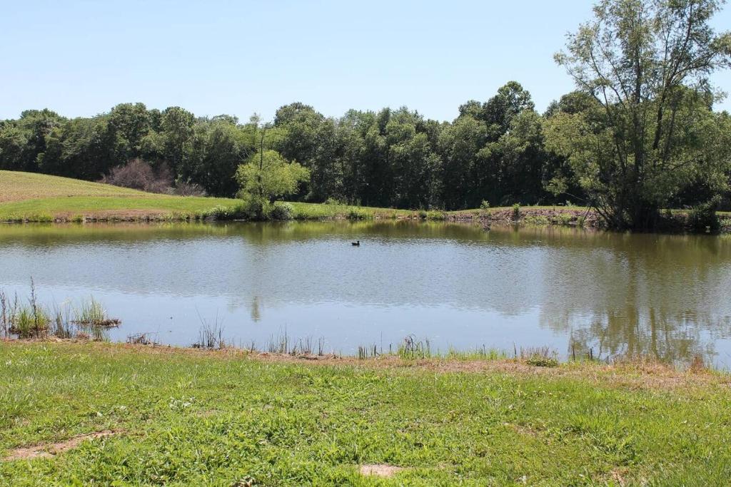 Pond View Loft - Screen Porch, Fire Pit & Fishing, McLeansboro (updated ...