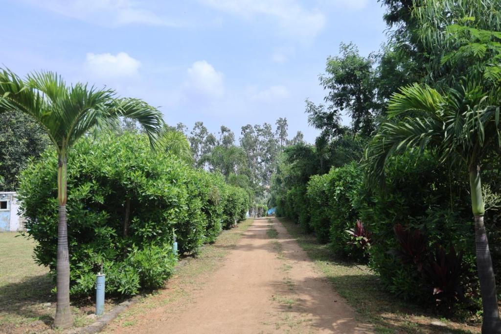 Hampi Blue Moon Resort, Munirābād (updated prices 2026)