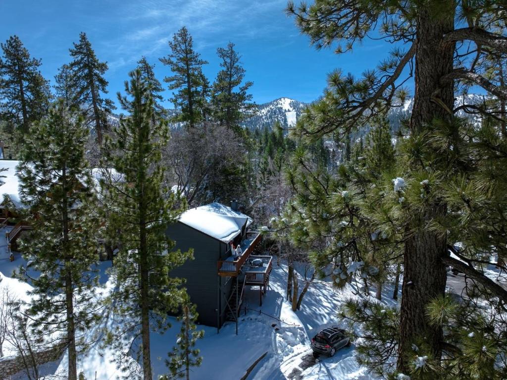 Chipmunk treehouse #1983, Big Bear Lake (precios actualizados en 2026)