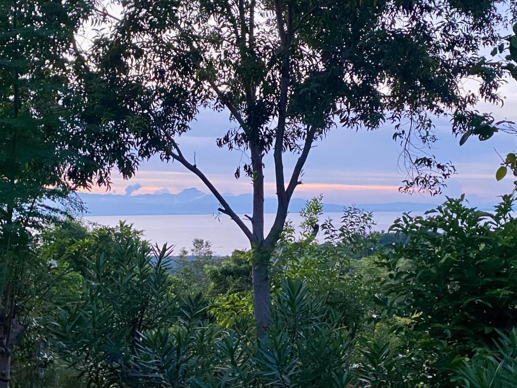 Novelyn's Seaview Hideaway, Larena (updated prices 2026)