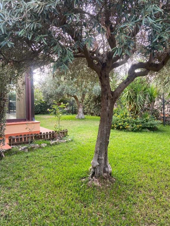 Il Giardino di Seba, Campofelice di Roccella (precios actualizados 2026)
