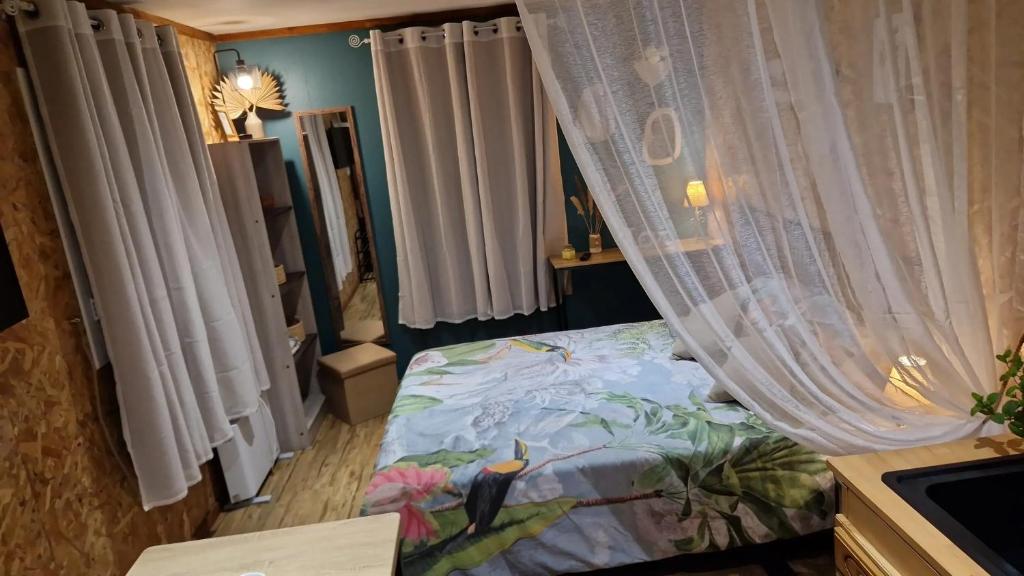 Studio accueillant à La Plaine-des-Palmistes, 15 m², Bras des Calumets ...