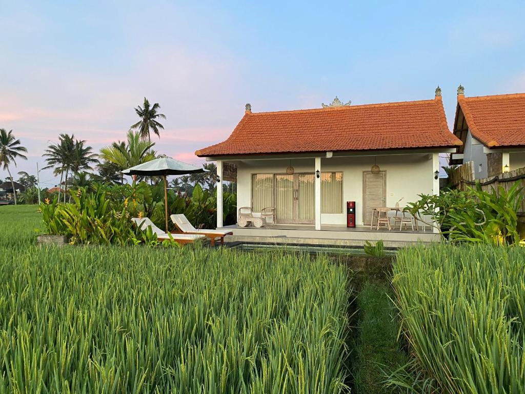 Rumik's House, Ουμπούντ (ενημερωμένες τιμές για το 2026)