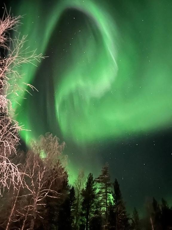 Villa Onnela, Rovaniemis (atnaujintos 2025 m. kainos)