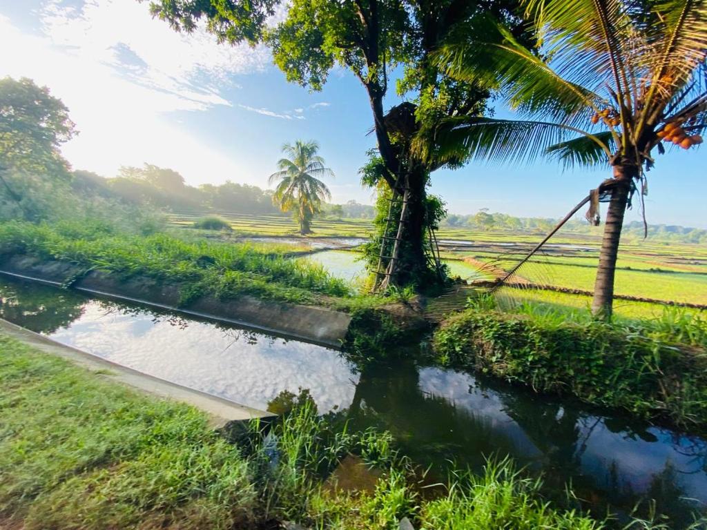 Ritigala Wedda Ancient Path, Kekirawa (prezzi aggiornati per il 2026)