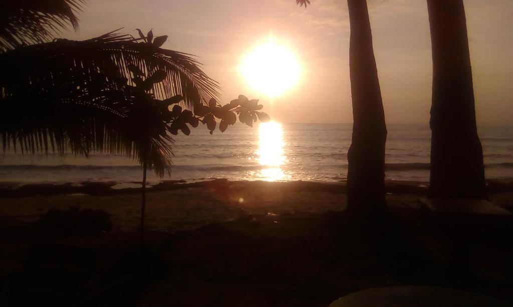 Yankai Beach Resort, Freetown (posodobljene cene za leto 2026)