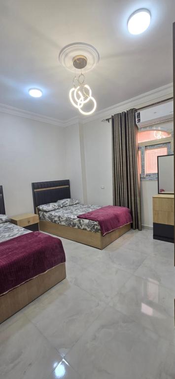 Sedra Beautiful Guest House, Madinat Al Ashir min Ramadan (updated ...