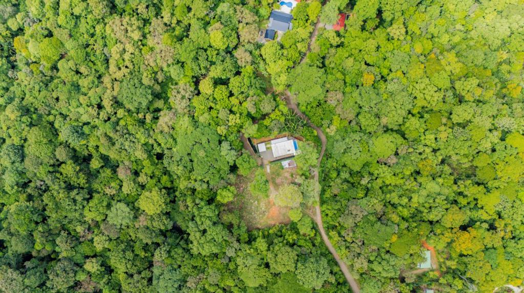 Modern Retreat In The Rainforest With River Access, Tortugal (precios ...