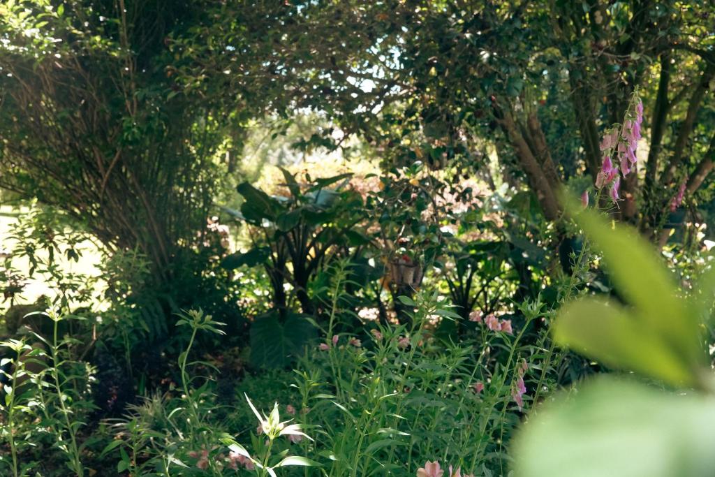 Two on Bramble, Hilton (tarifs actualisés, 2025)