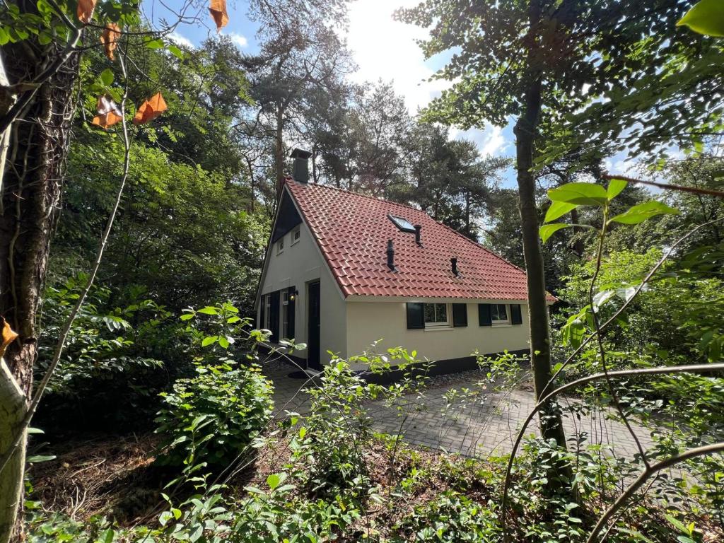 The Molshoop - In the middle of the forest, IJhorst (aktualisierte ...