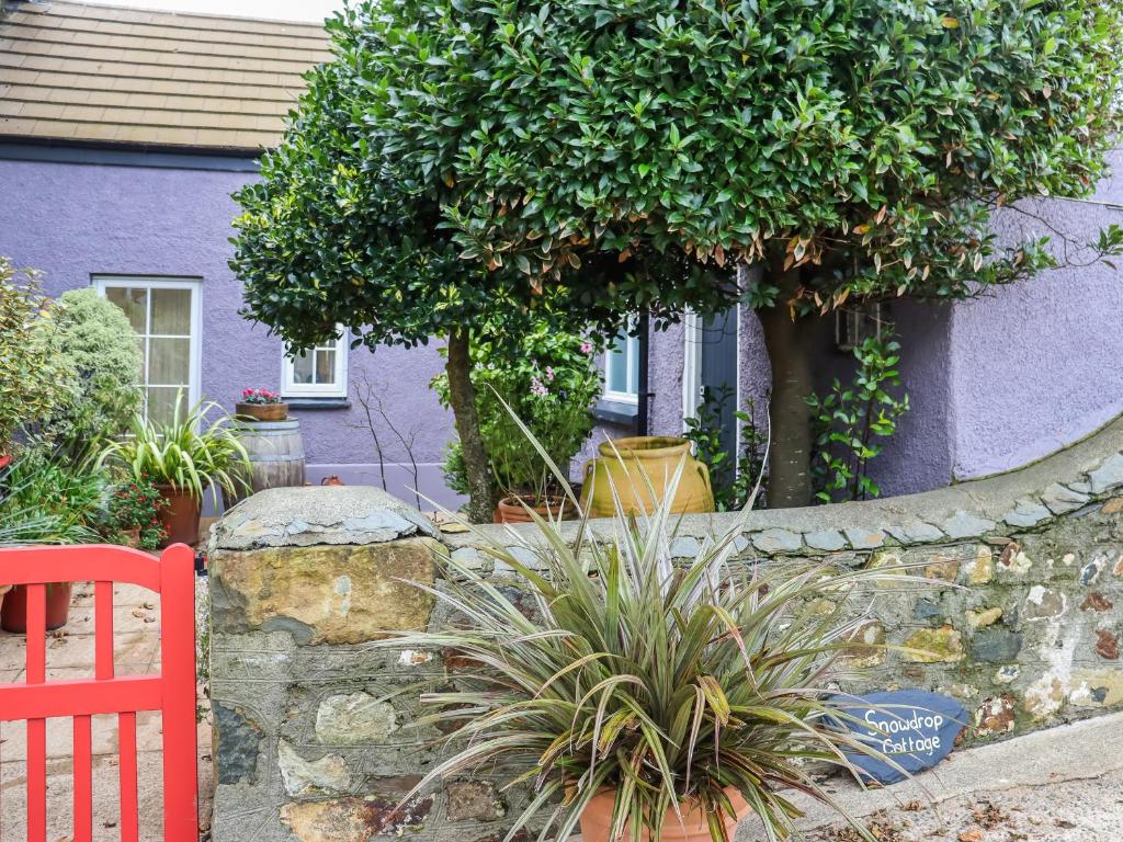 Snowdrop Cottage, Treffynnon (обновени цени за 2025 г.)