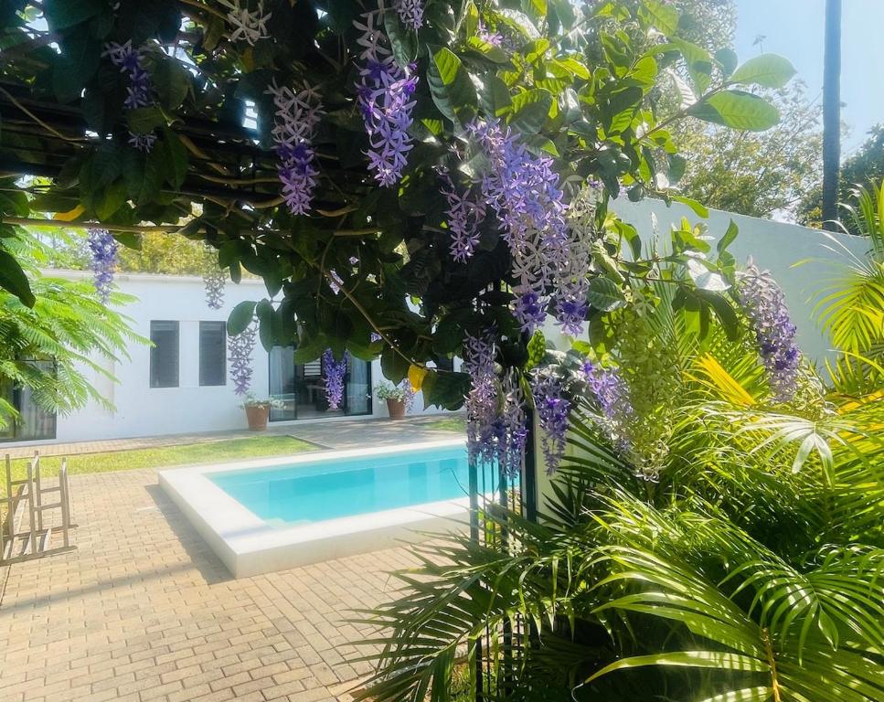 Nyumba Nyekundu - Little hide away in Watamu, Watamu (precios ...
