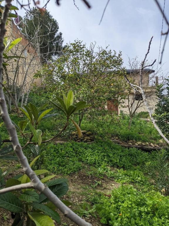 Chez Noureddine L 'GARAH, Kermets (prezzi aggiornati per il 2025)