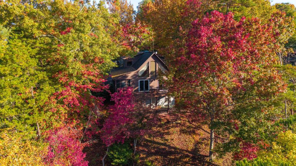 Green Forest Lodge - Pet Friendly, Bellview (precios actualizados 2026)