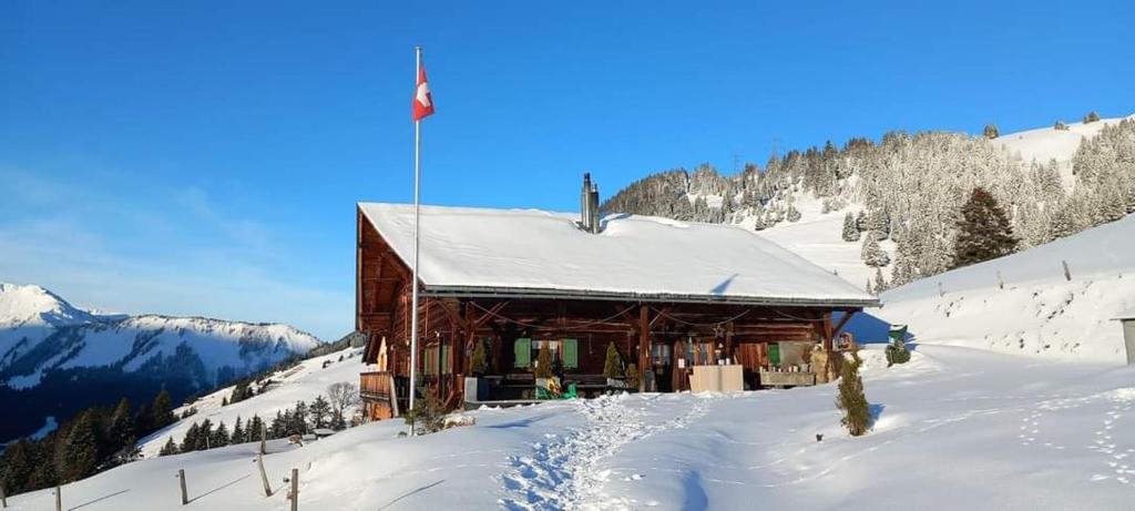 Chalet Chanso, Morgins (updated prices 2026)