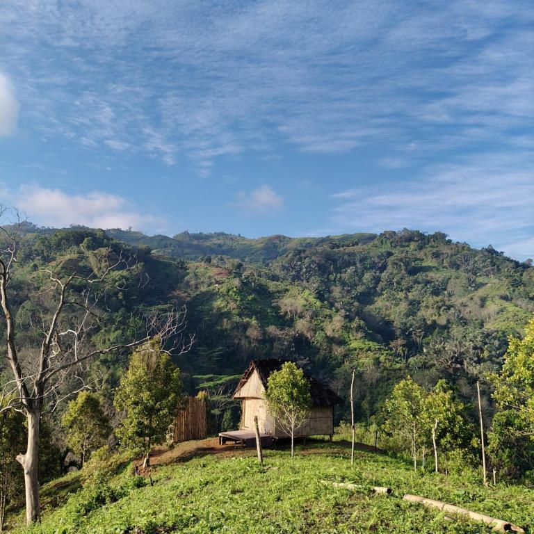 Uma Lantar Eco Stay, Sita (preços atualizados para 2025)