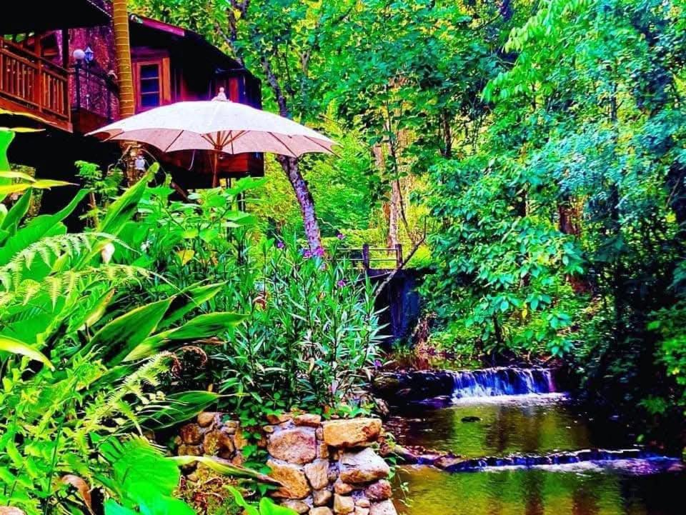 เฌอPrime Cher Prime by Tree house Maelai, Ban Pok Nai (precios ...