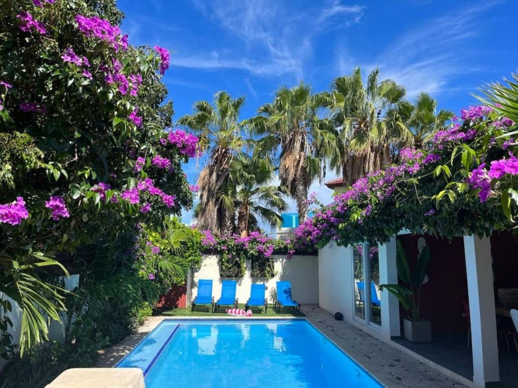 Merlot Villas Aruba private pool 500 yrds from Palm Beach, Palm-Eagle ...