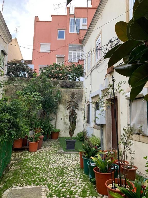 Pateo Lisboeta, Lisboa (precios actualizados 2025)