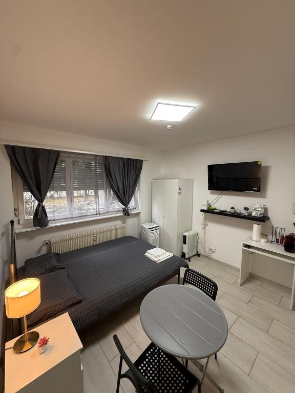 Studio in Basel, Basel Card, Bazilej (aktualizované ceny na rok 2026)