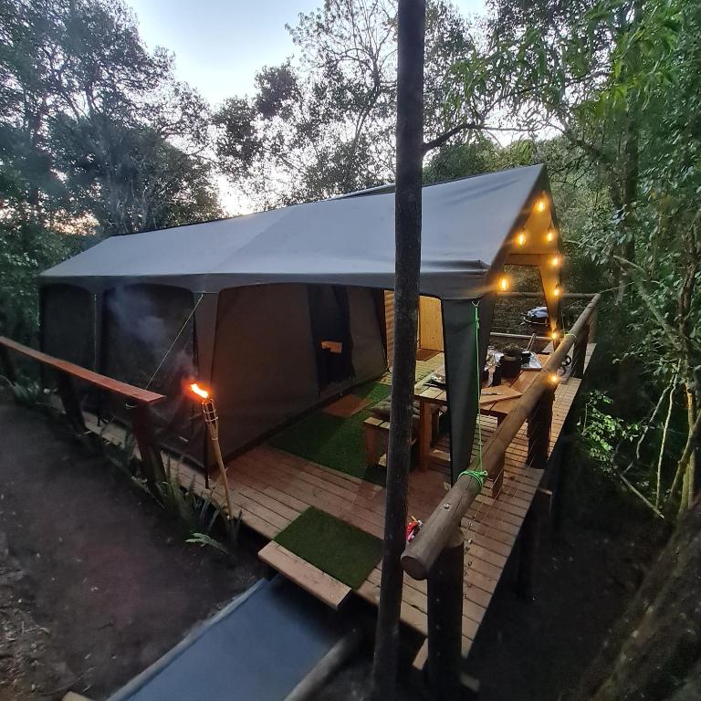 Squirrels Rest Treetop Glamping, Knysna (updated prices 2026)