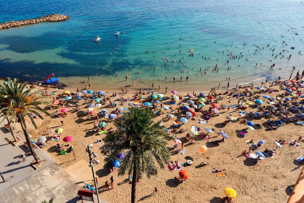 托雷維耶哈的167 Dream Apartment Alicante-Holiday（2026 年最新房價）