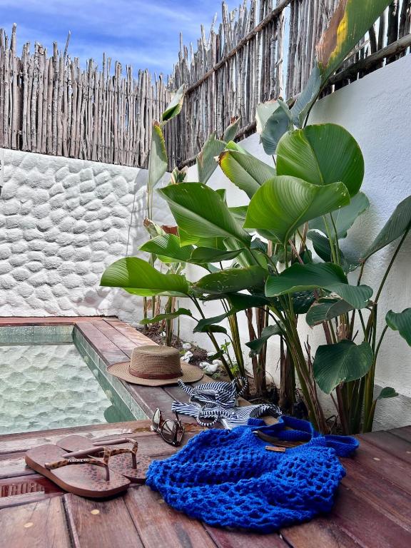 Zara Nature Patacho - Refúgio Mediterrâneo, Porto de Pedras (precios ...
