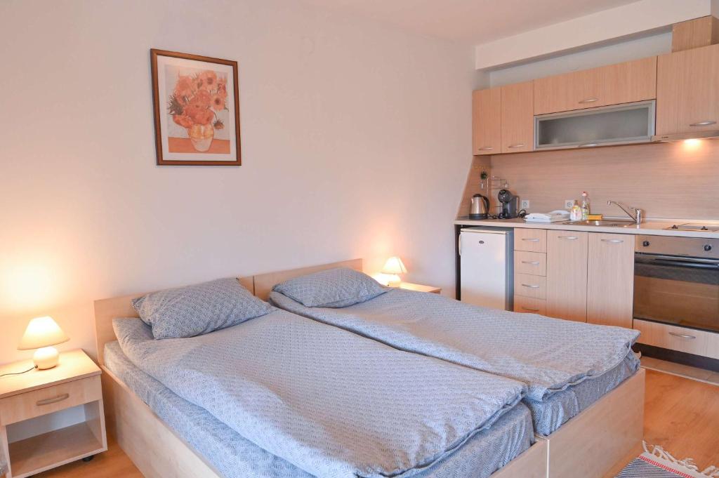 Aspen Resort Studio Cozy & Fully Equipped by Flat Manаger, Bansko ...