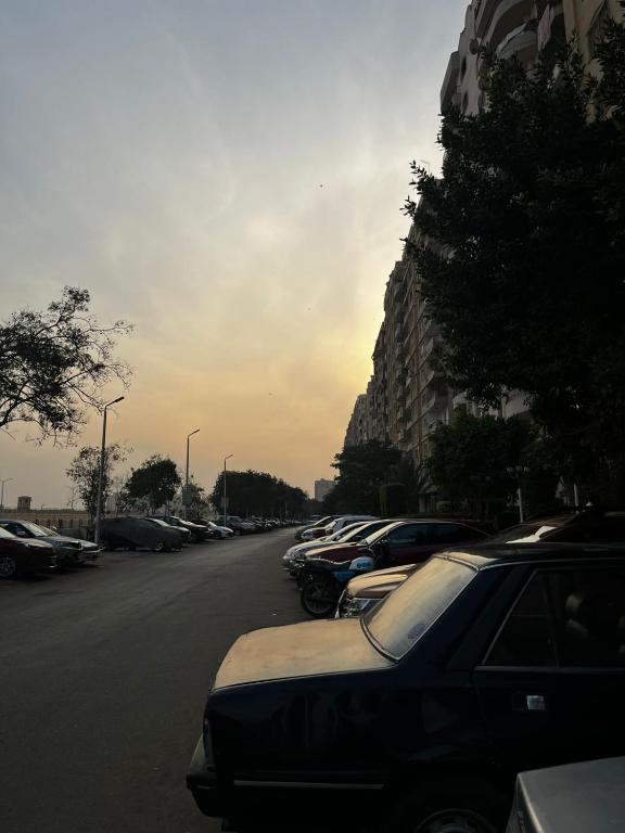 Double room in Degla Maadi, Cairo (giá cập nhật 2025)