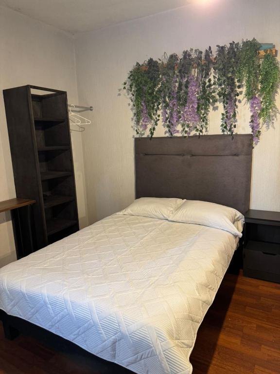 El Hostalito Metepec, Toluca (precios actualizados en 2026)