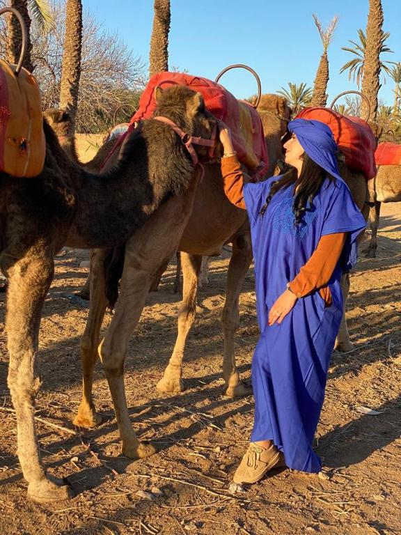 Expérience Chameau à Tanger - Nature & Sérénité, Khendek Zarzour ...