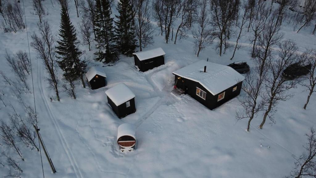 Hiet- Arctic cabin in the norwegian forrest!, טרומסה (מחירים מעודכנים ...