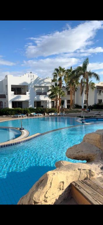 Delta Sharm Resort Studio, Sharm El Sheikh (updated prices 2026)