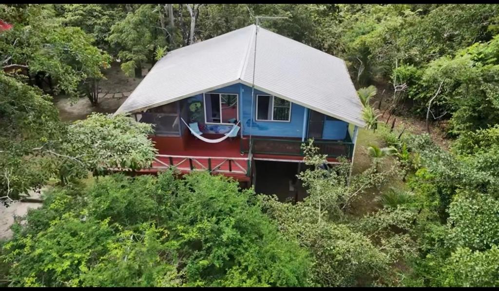 Howler House over the River, Ciudad de Belice (precios actualizados ...