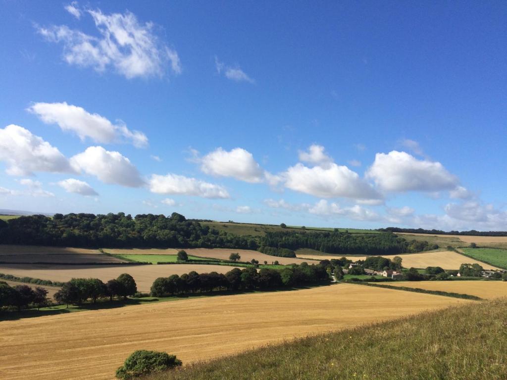 Higher Melcombe Manor, Ansty (updated prices 2025)