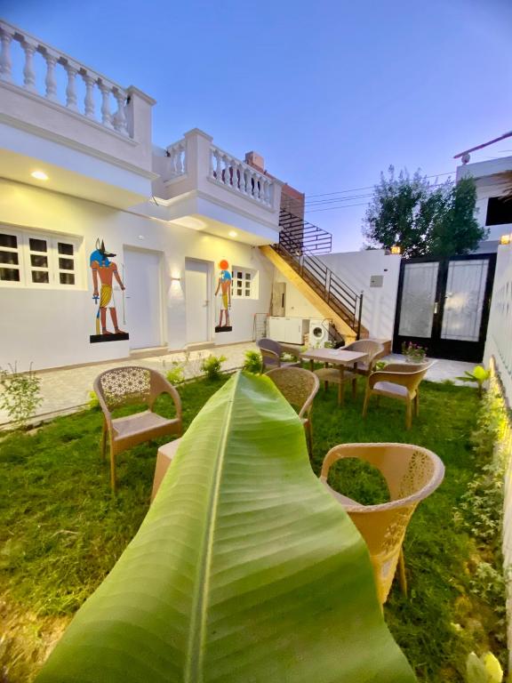 Celia House, Luxor (updated prices 2026)