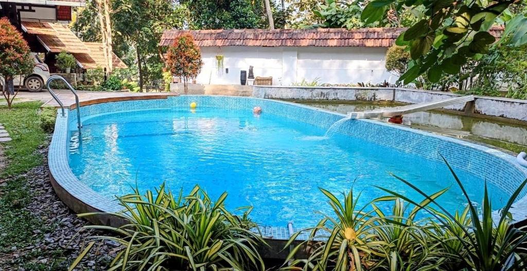 Nellu- Courtyard Poolvilla Organic Farmstay, Akathumuri (מחירים ...
