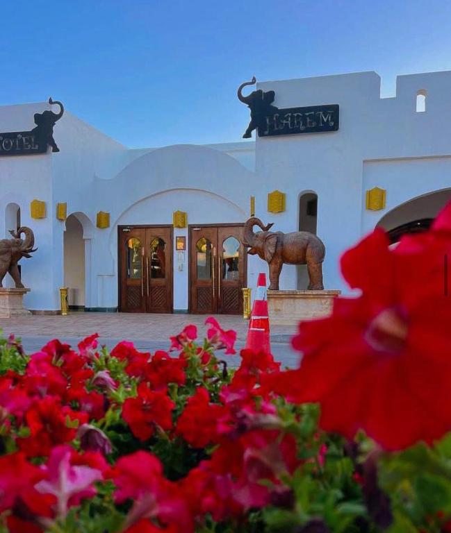Domina Coral Bay Suite Harem Sharm El Sheikh, Sharm El Sheikh (precios ...