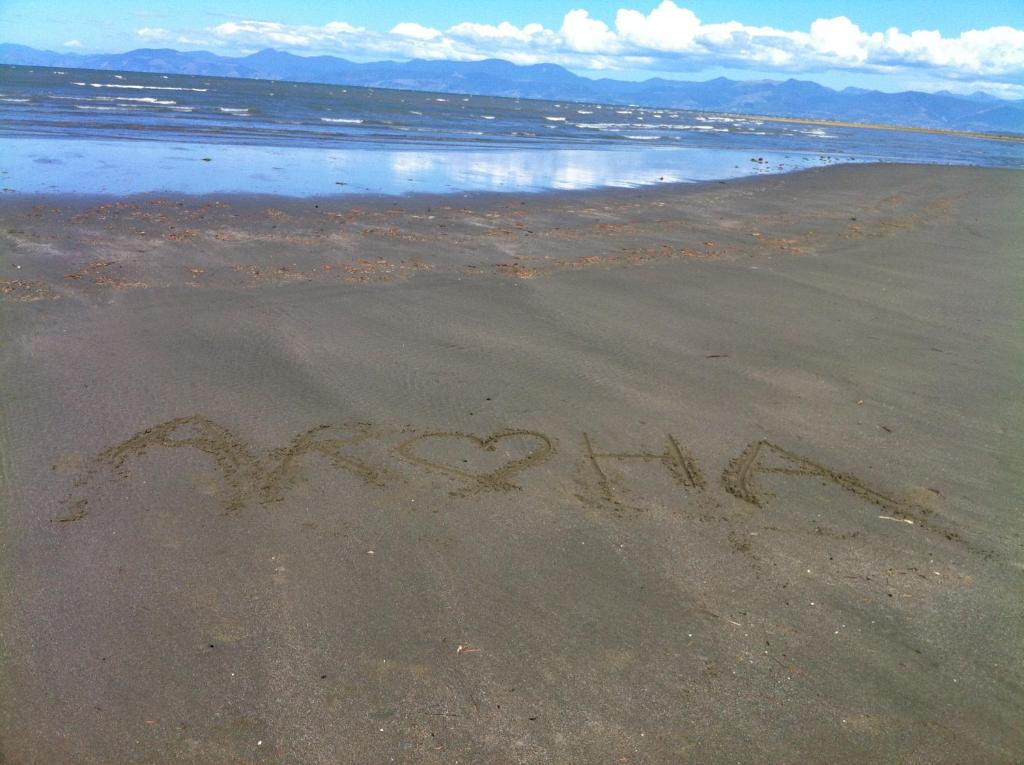 Aroha Cottage | Hotel in Tasman, New Zealand