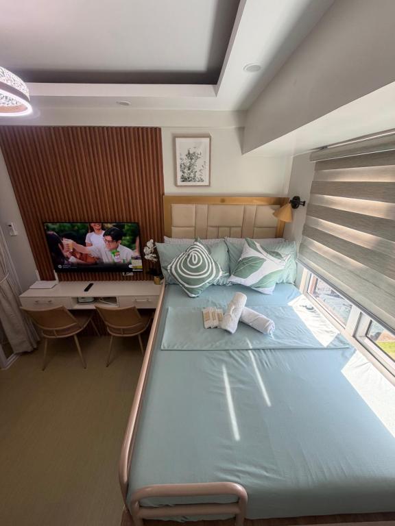 Kris studio, Molo (precios actualizados 2026)