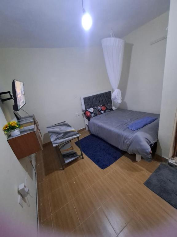 Humble Homes studio apartment Thika Town CBD access to Netflix,wifi and views, Thika (2026년 최신 요금)