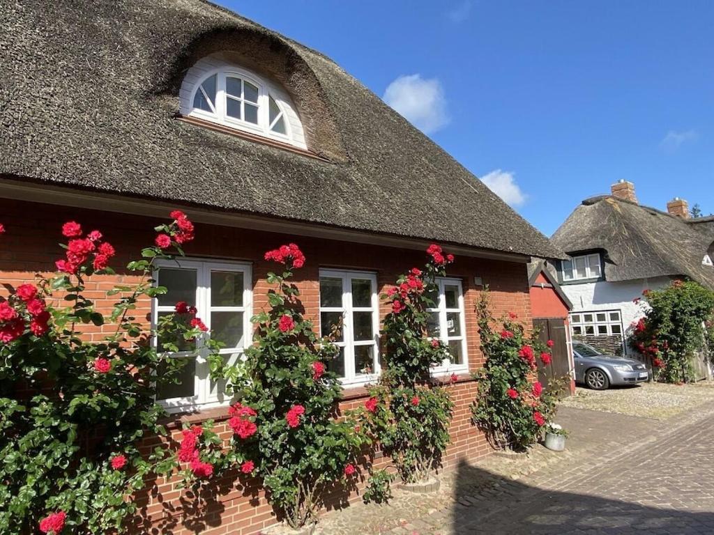 Object 40 Nieblum, Nieblum (precios actualizados 2026)