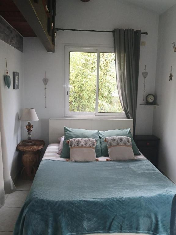 loft, air conditioning, garden, optional jacuzzi, barbecue, Lunel ...