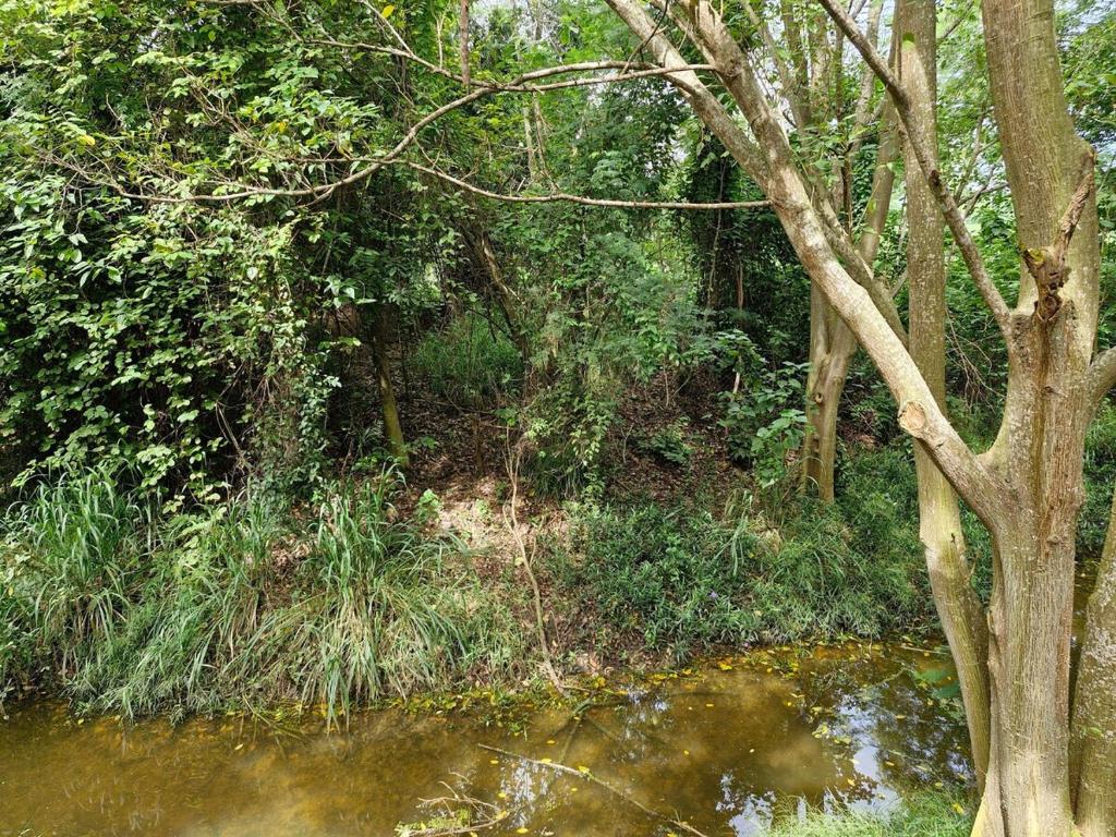 Log Cabin Retreat, Pak Chong (precios actualizados 2026)