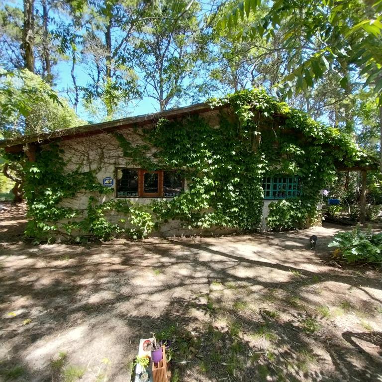 Casa Verde, Mar de las Pampas (tarifs actualisés, 2026)