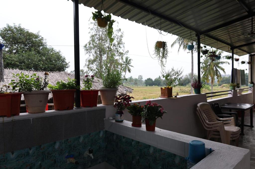 Devi Homestay, Hampi (updated prices 2026)